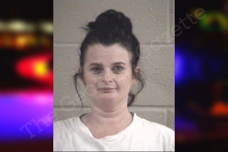 April Edwards — Whitfield County Jail Bookings