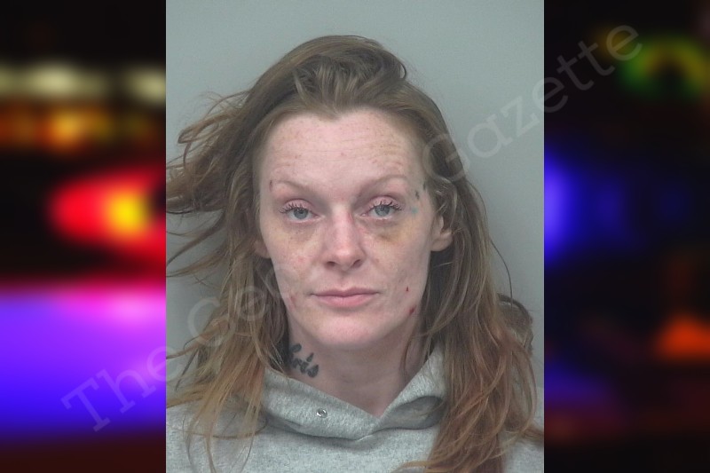 Randi Estrada — Gwinnett County Jail Bookings