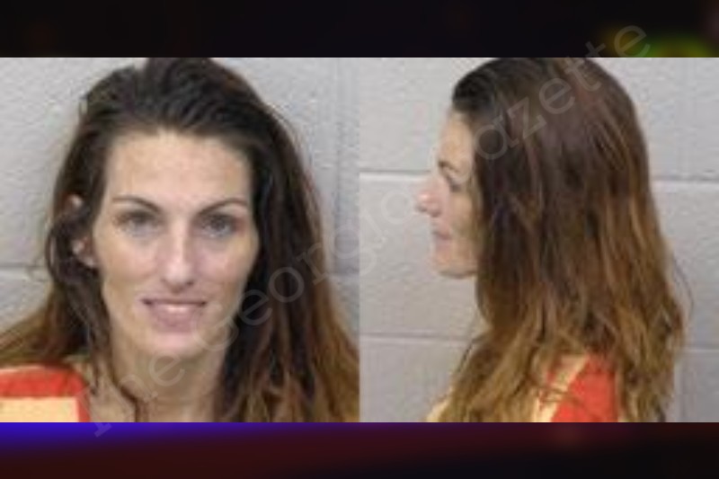 Madison Earley — Paulding County Jail Bookings