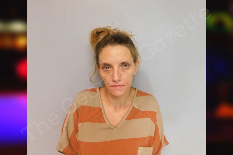 Meagan Feaster — Hall County Jail Bookings