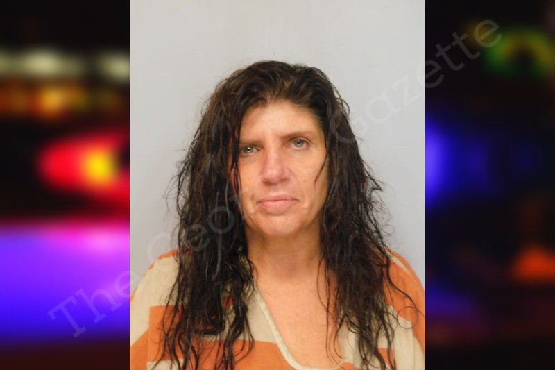 Nancy Frady - Hall County