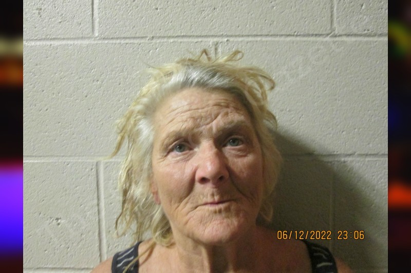 Lisa Fair — Towns County Jail Bookings