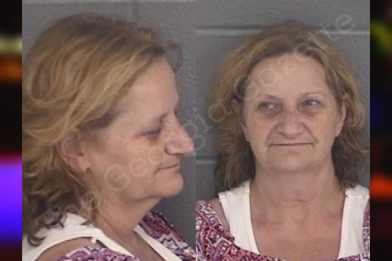 Sandra Foy Morgan — Barrow County Jail Bookings