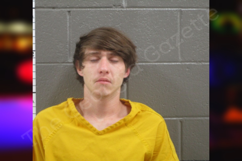 Brandon Turpin — Banks County Jail Bookings