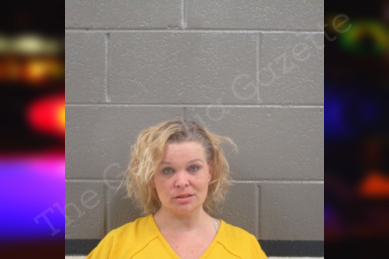 Casey Walls — Banks County Jail Bookings