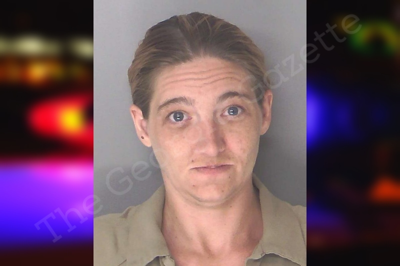 Alicia Gaylor — Douglas County Jail Bookings