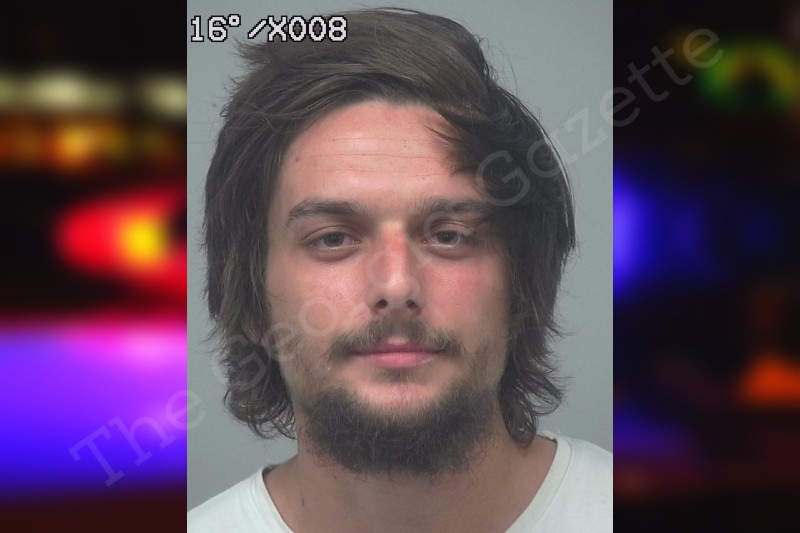 Daniel Ghioaca — Gwinnett County Jail Bookings