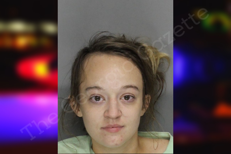 Elizabeth Gilbert — Cobb County Jail Bookings