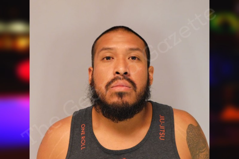 David Gonzalez — Hall County Jail Bookings