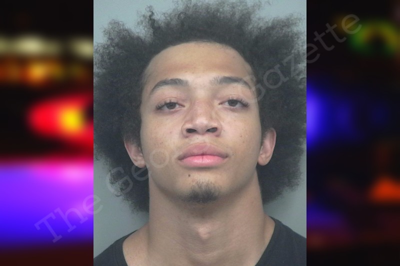 Austin Griggs — Gwinnett County Jail Bookings