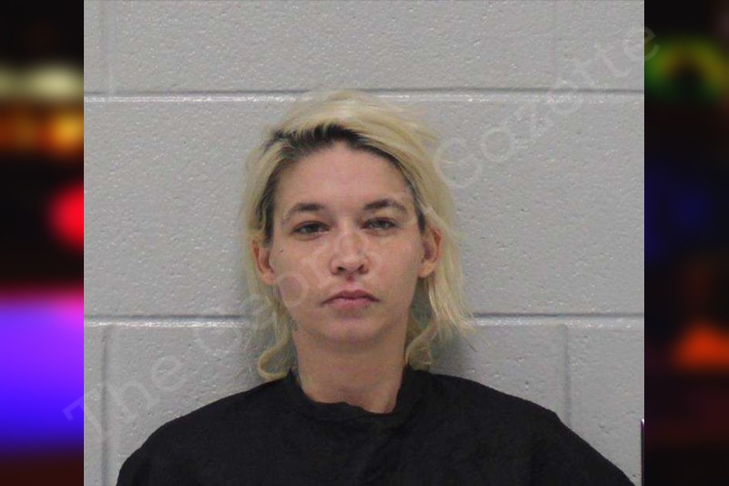 Jamie Guay — Carroll County Jail Bookings