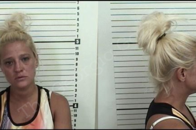 Shannon Gavagan — Camden County Jail Bookings