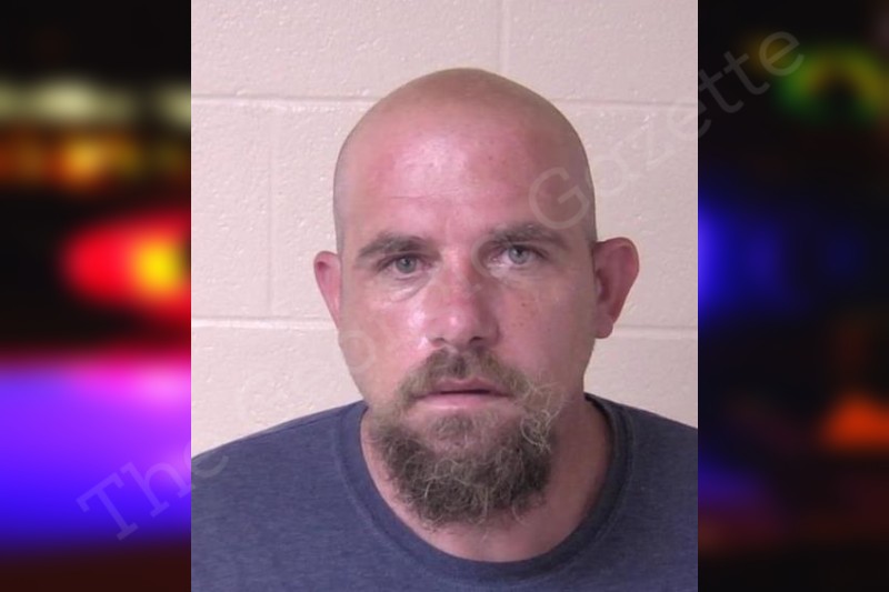 Michael Guffey — Walker County Jail Bookings