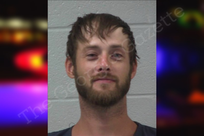 Justin Hamrick — Gilmer County Jail Bookings