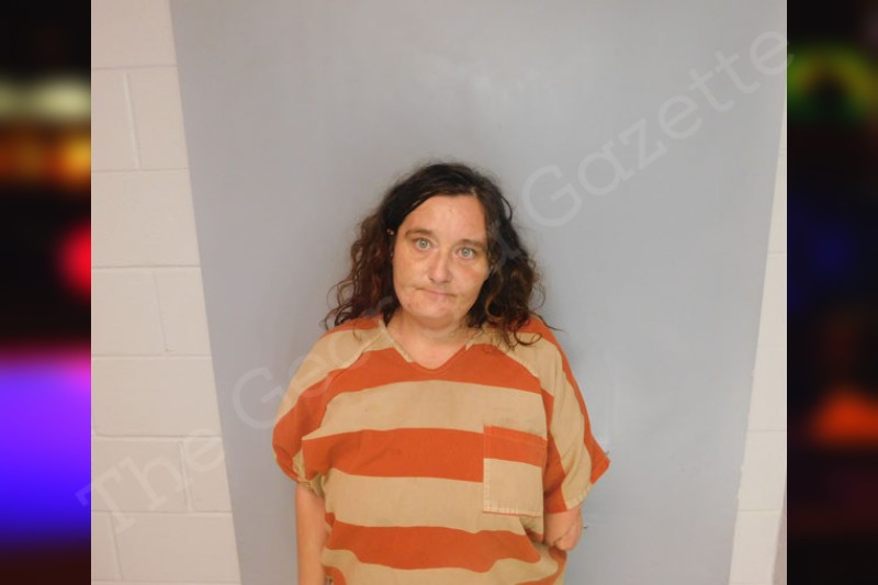 Terri Harris — Hall County Jail Bookings