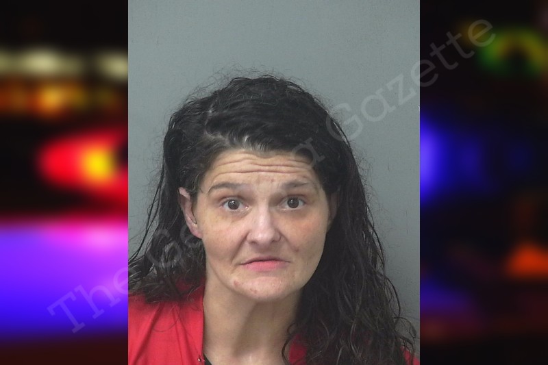Jessica Holcomb — Gwinnett County