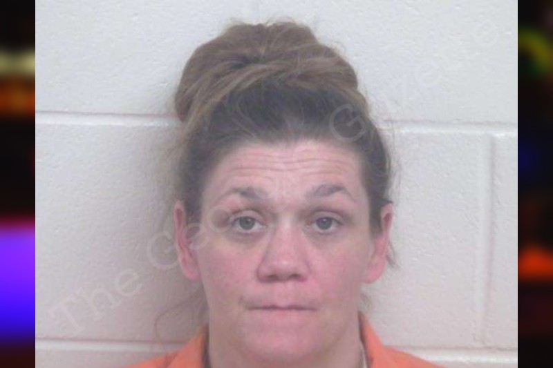 Mandy Howard — Washington County Jail Bookings