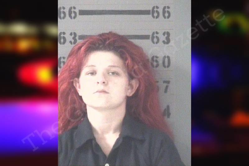 Nina Hand — Dougherty County Jail Bookings