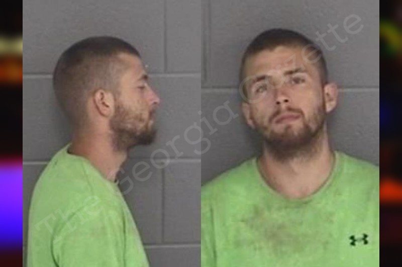 David Haney — Barrow County Jail Bookings
