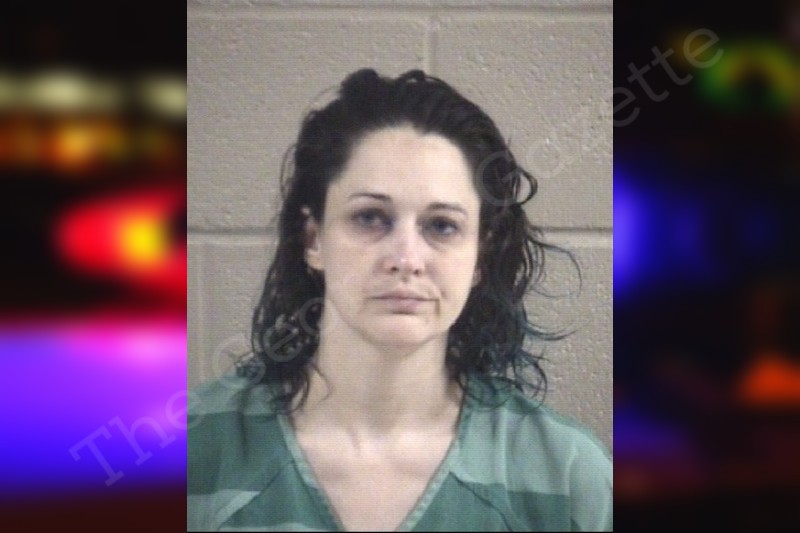 Heather Chambers — Whitfield County Jail Bookings