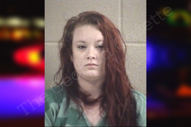 Hope Hasty — Whitfield County Jail Bookings