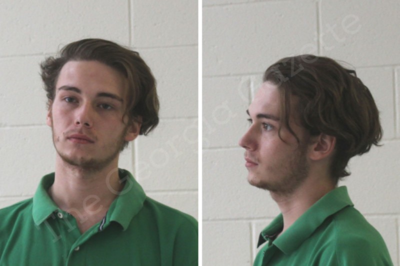 Levi Howard — Houston County Jail Bookings