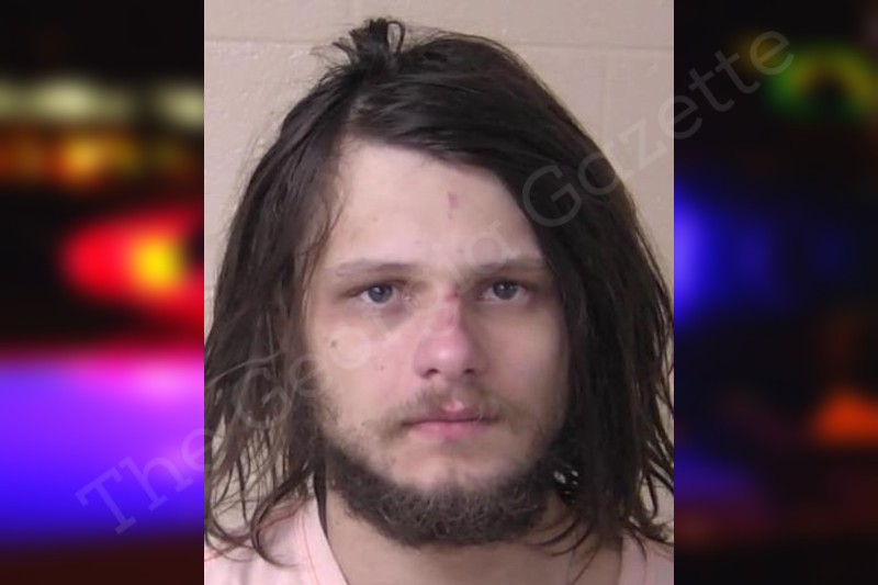 Dylan Hullander — Walker County Jail Bookings