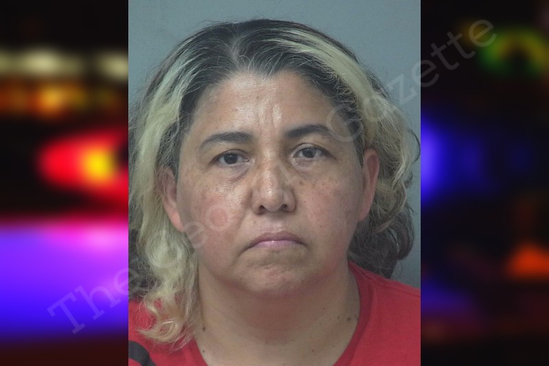 Lorena Jacome Santamaria — Gwinnett County Jail Bookings