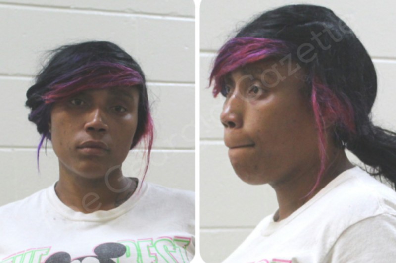 Deloris Jones — Houston County Jail Bookings