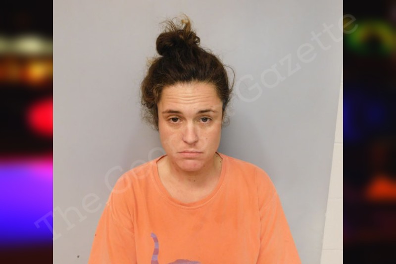 Mary Kelly — Hall County Jail Bookings