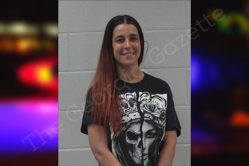 Taylor Lamb — Gilmer County Jail Bookings