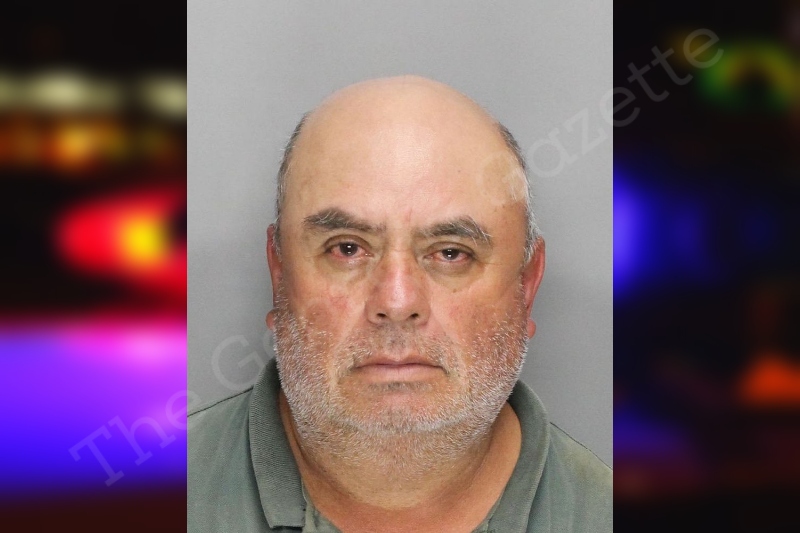 Ferin Landaverde — Cobb County Jail Bookings