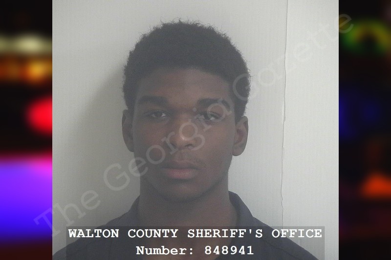 Brian Lewis — Walton County Jail Bookings