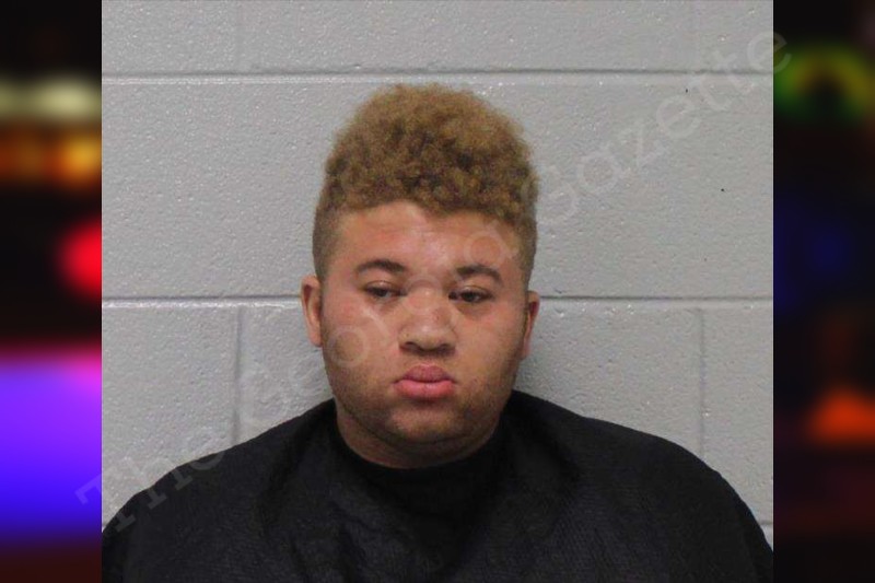 Joseph Logan — Carroll County Jail Bookings