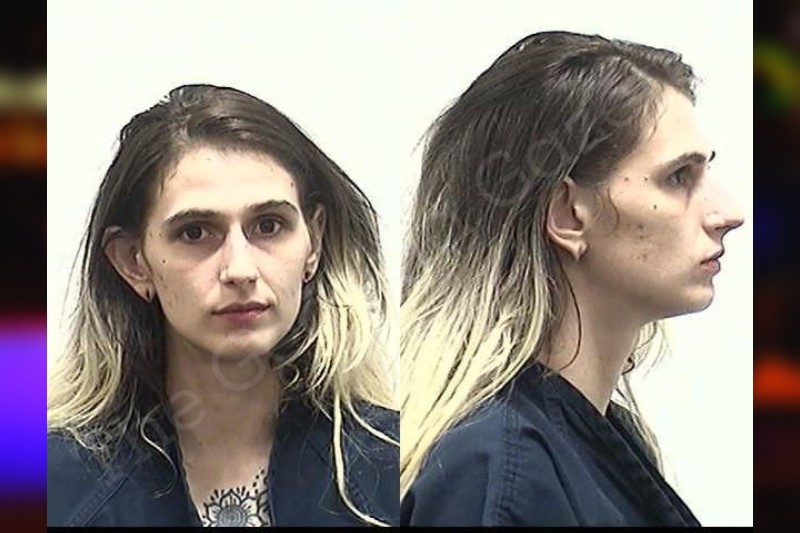 Hannah Lovell — Clarke County Jail Bookings