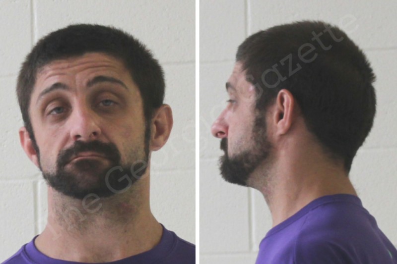 David Lewis — Houston County Jail Bookings