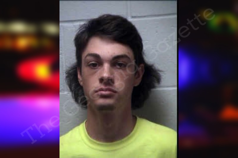 Ethan Marchbank — Henry County Jail Bookings