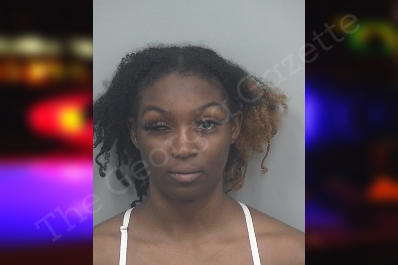 Princess Mckenzie-Evans — Gwinnett County Jail Bookings