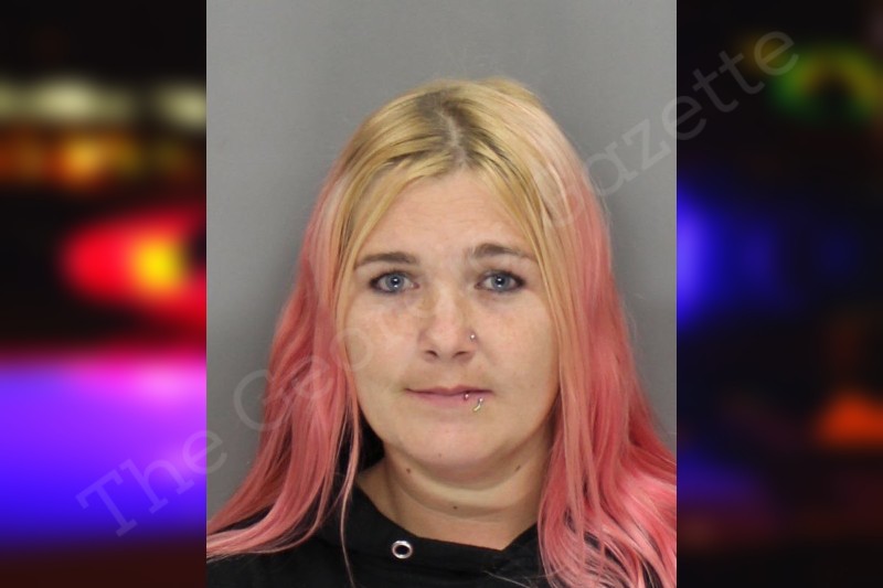 Jennifer Meeks — Cobb County Jail Bookings