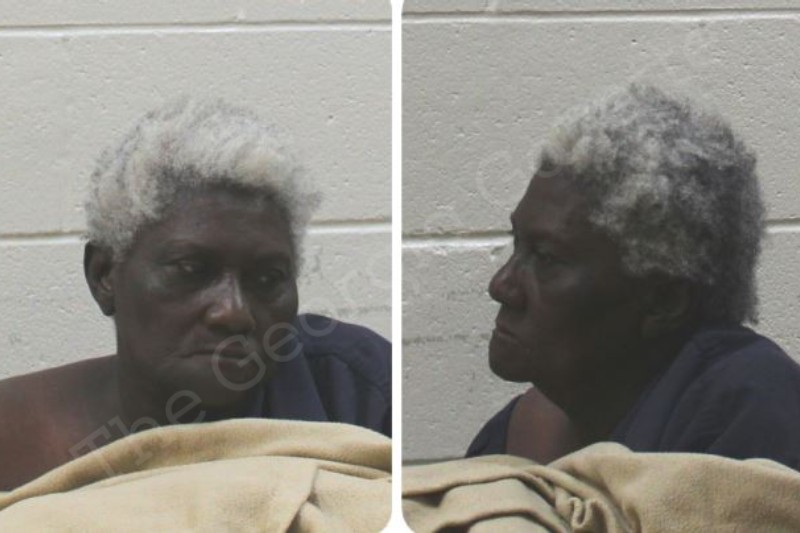 Annette Mace — Houston County Jail Bookings