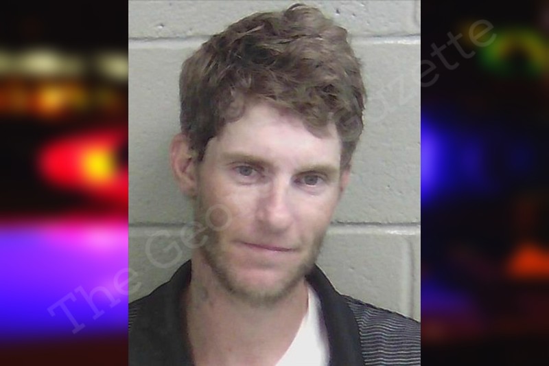 Timothy Manning Jr — Wayne County Jail Bookings