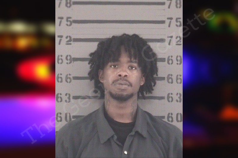 Blake Mathis — Dougherty County Jail Bookings