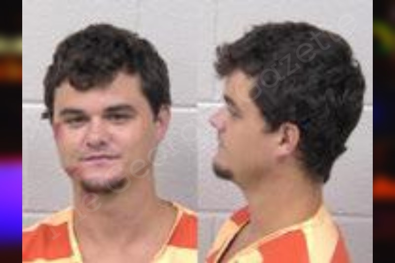 Dustin Maurer — Paulding County Jail Bookings