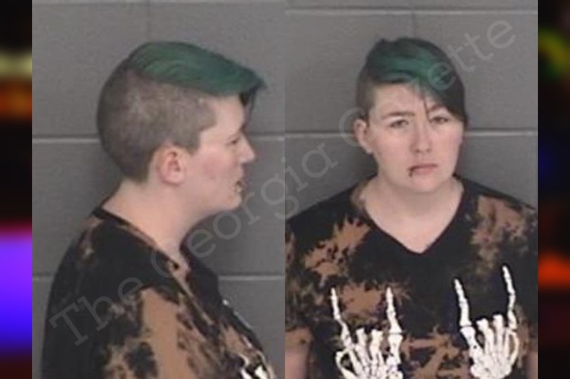 Deshea McGee — Barrow County Jail Bookings Deshea McGee — Barrow County Jail Bookings