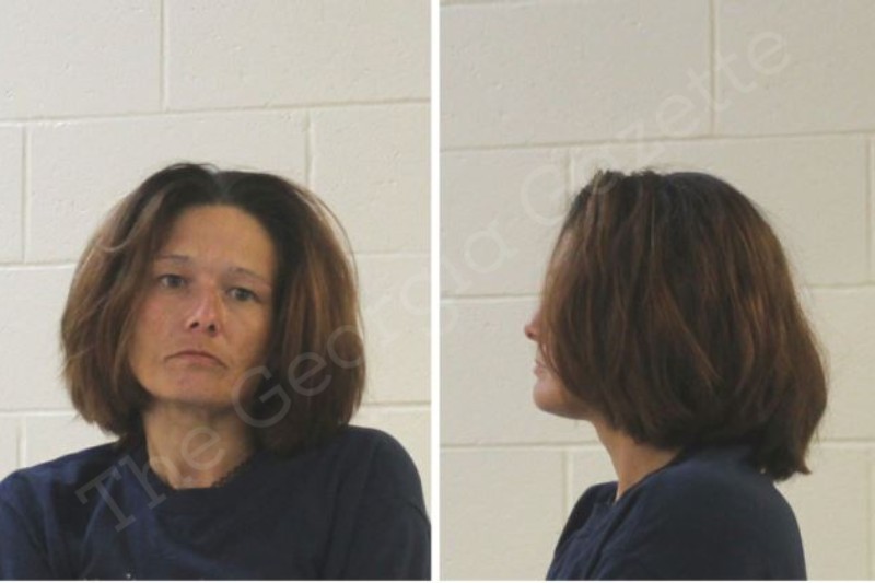Cynthia Milam — Houston County Jail Bookings