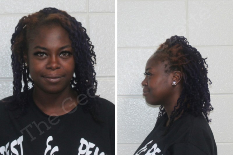 Shakilya Mitchell — Houston County Jail Bookings