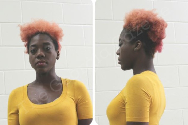 Crystal Montgomery — Houston County Jail Bookings