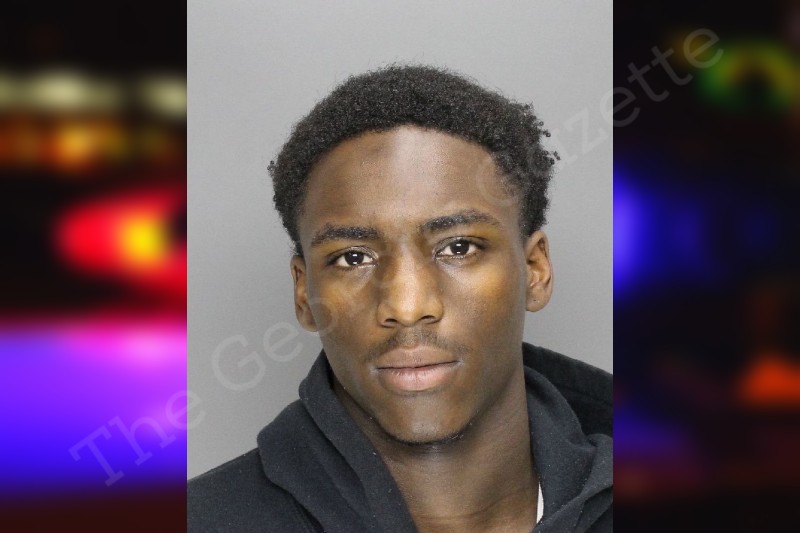 Joshua Nesbitt — Cobb County Jail Bookings