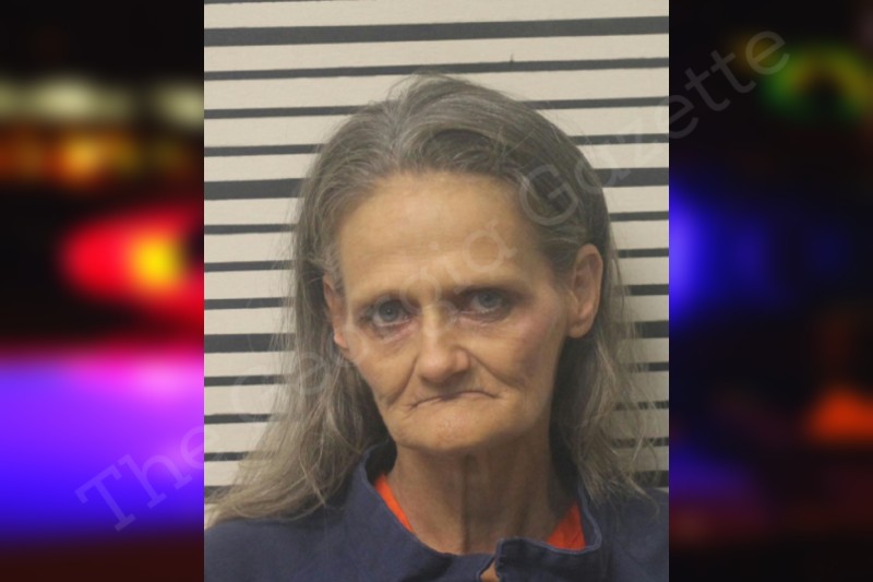 Lisa Nesbitt — Toombs County Jail Bookings