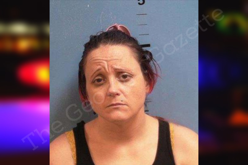 Amy Patton — Monroe County Jail Bookings